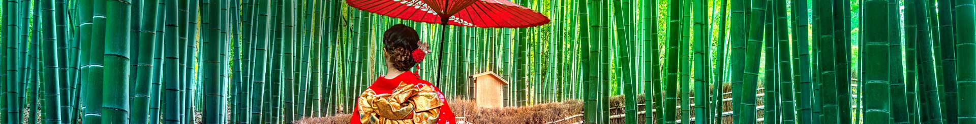 Circuit pas cher : autotour, circuit touristique